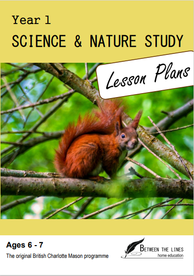 Year 1 Science & Nature Study Lesson Plans – Between the Lines Home ...