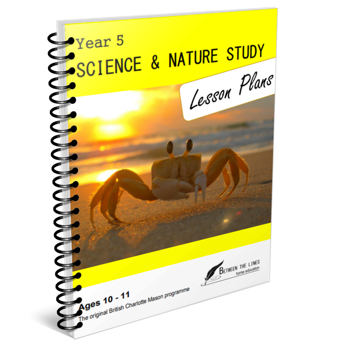 Year 5 Science Nature Study Lesson Plans Between The Lines Home year-5-science-nature-study-lesson-plans-between-the-lines-home