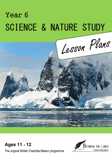 Year 6 Science & Nature Study Lesson Plans – Between the Lines Home ...
