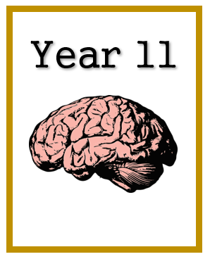 Year 11 (ages 16 to 17) – Between the Lines Home Education