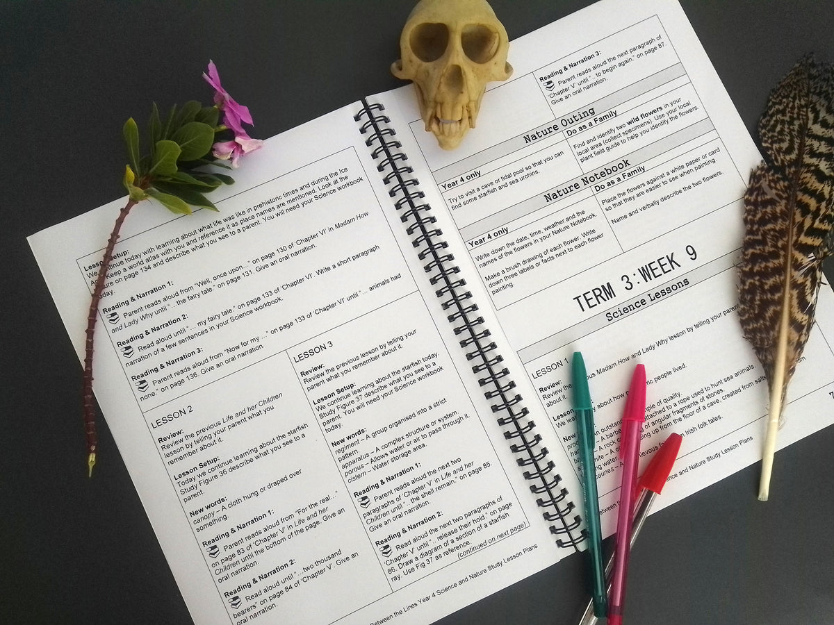 Year 4 Science & Nature Study Lesson Plans – Between the Lines Home ...